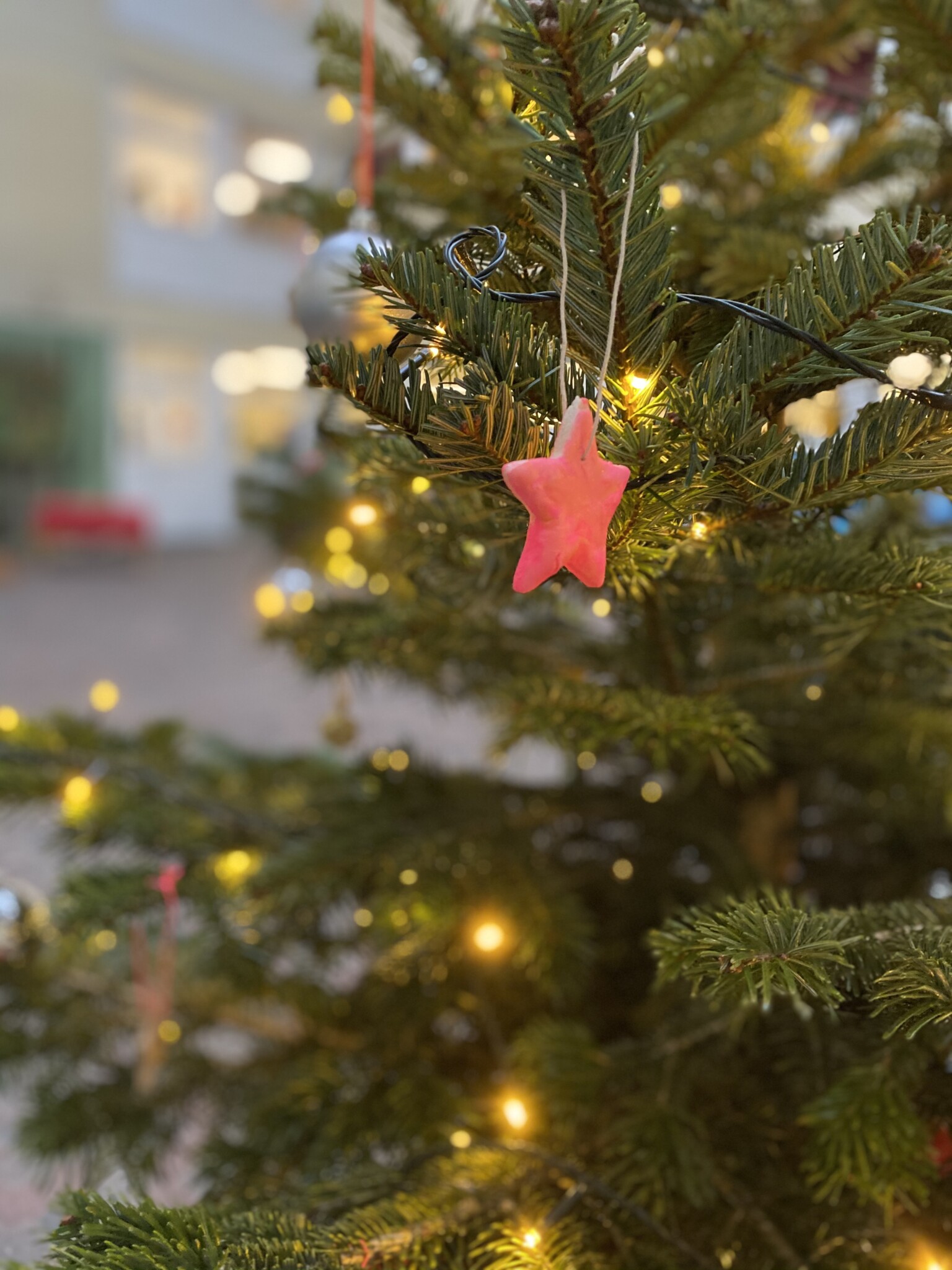 O Tannenbaum, o Tannenbaum.. - Schule Brehmweg